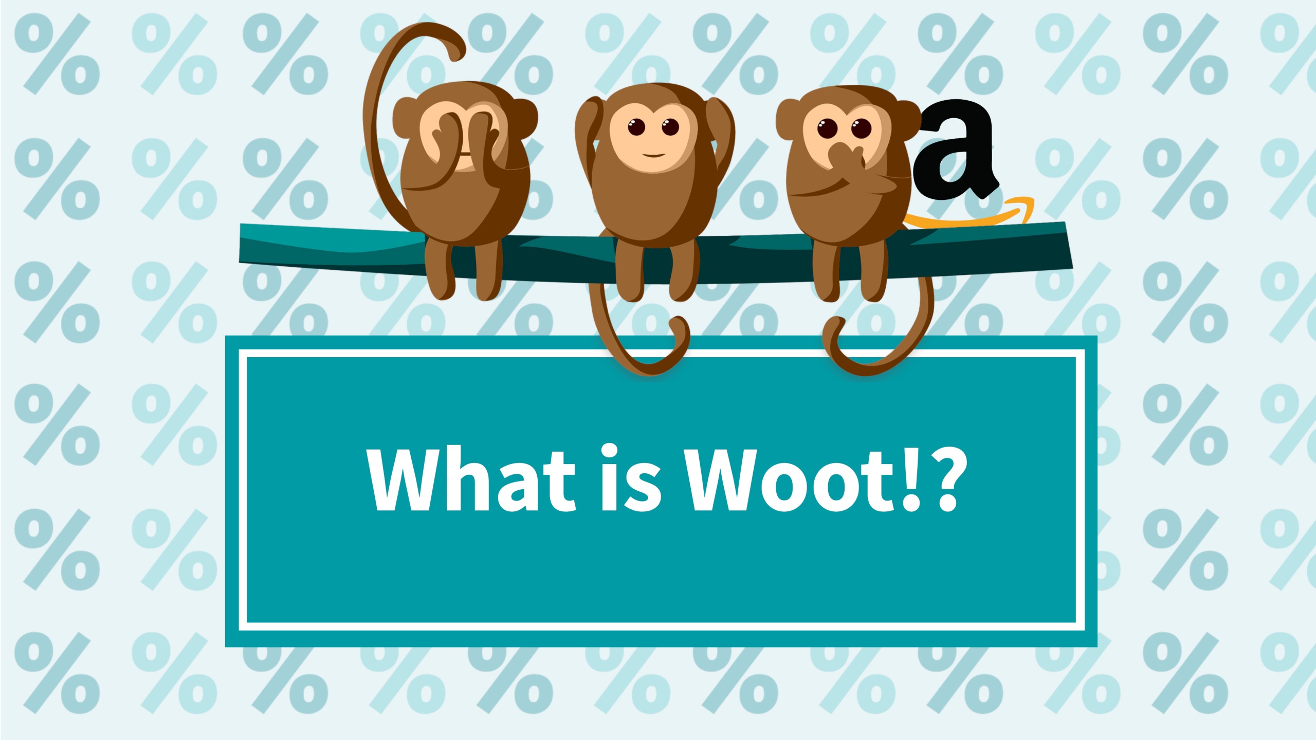 What is Woot!?
